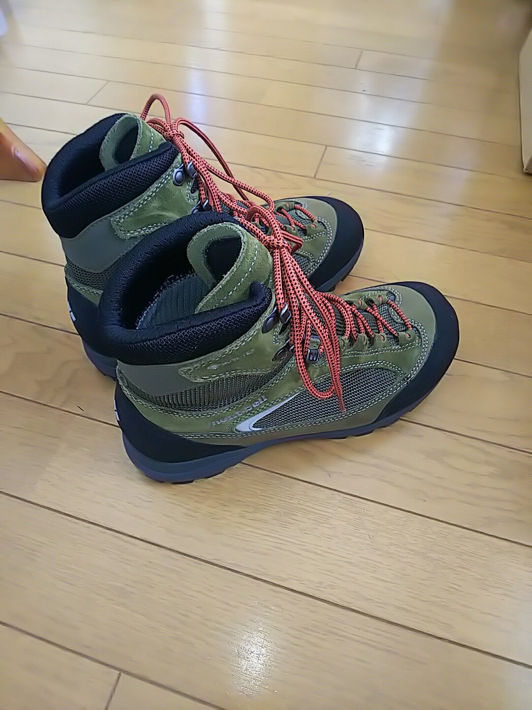 来年に向けて靴を購入 犬の散歩で足慣らし... / mechanic-kuriさんのモーメント | YAMAP / ヤマップ