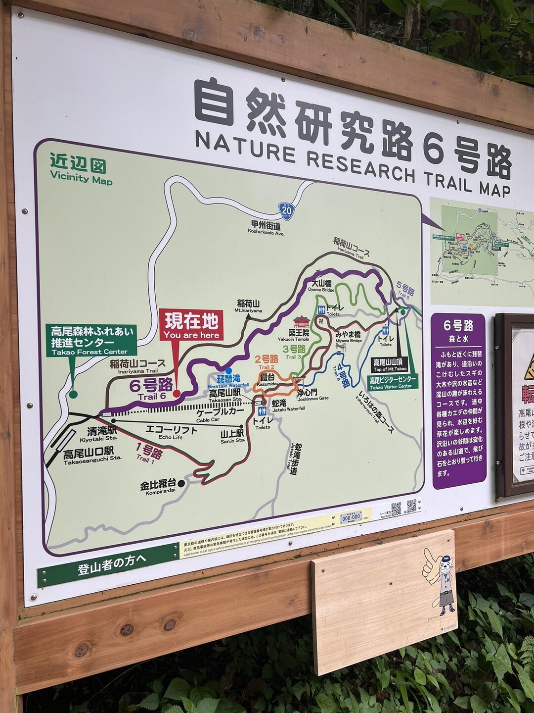 城山（小仏城山）・峰尾山 / Taraさんの高尾山・陣馬山・景信山の活動データ | YAMAP / ヤマップ