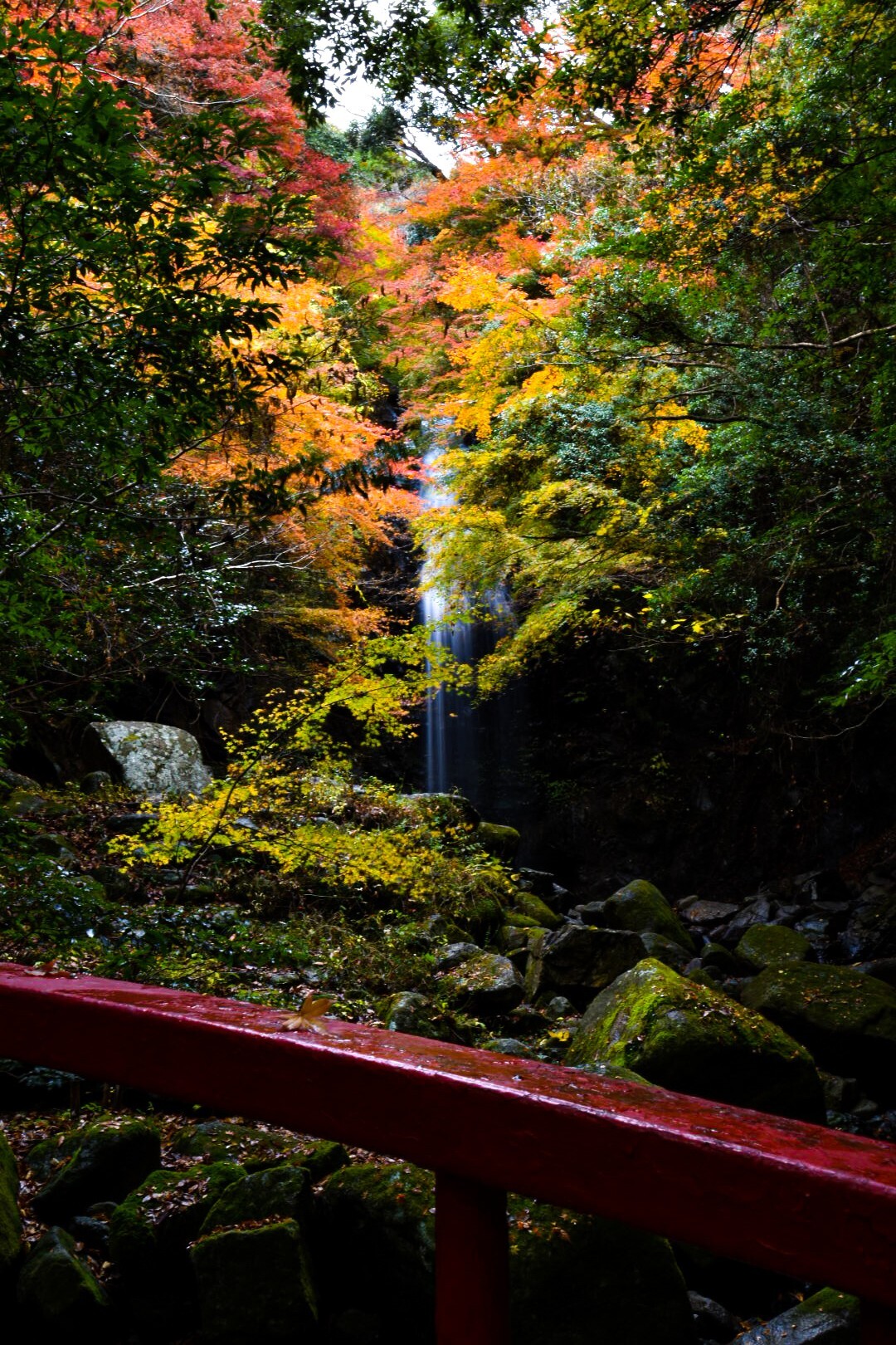 紅葉と滝巡り🍁 場所は全然ちがうとこで... / nao🤪さんのモーメント | YAMAP / ヤマップ