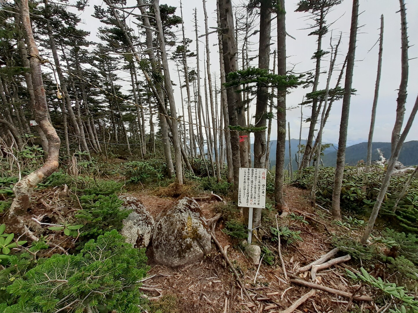 ko usさんの投稿したフィールドメモ | YAMAP / ヤマップ