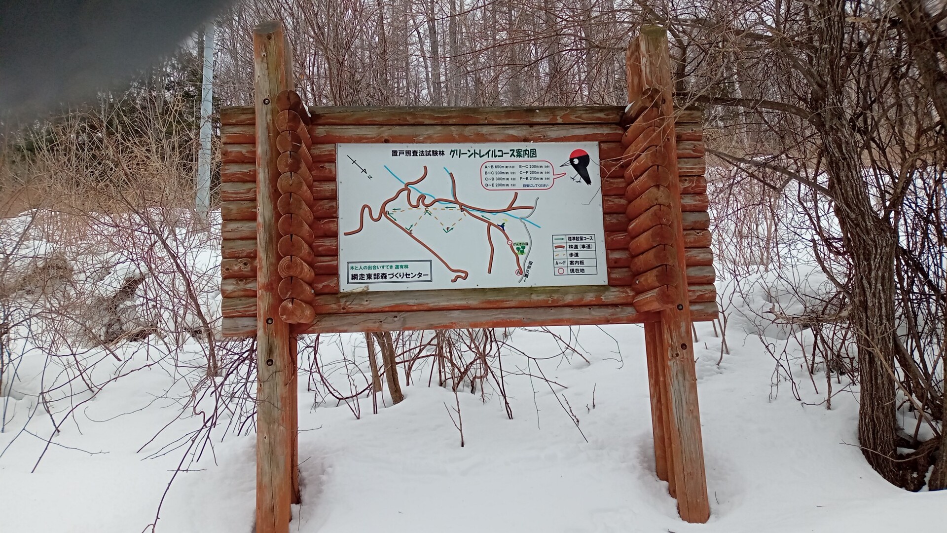 スノーシューを履いて山散歩 / かずたOKTさんの登山の活動データ | YAMAP / ヤマップ