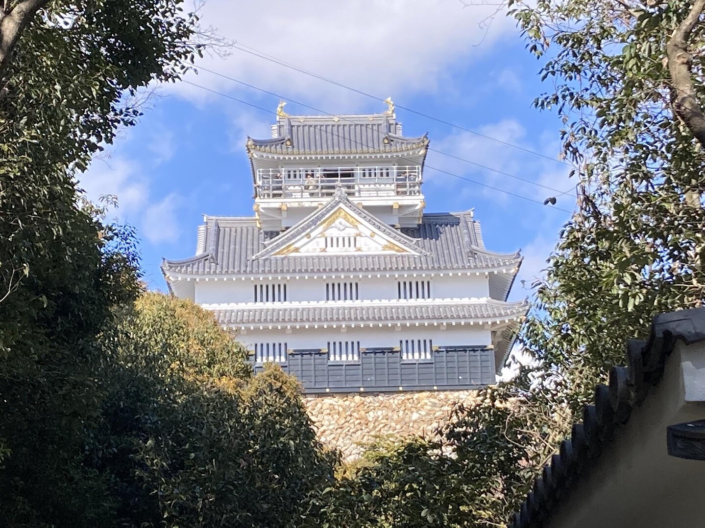 金華山GT 9座＋🍓 / ひまりんさんの金華山・洞山・舟伏山の活動データ | YAMAP / ヤマップ