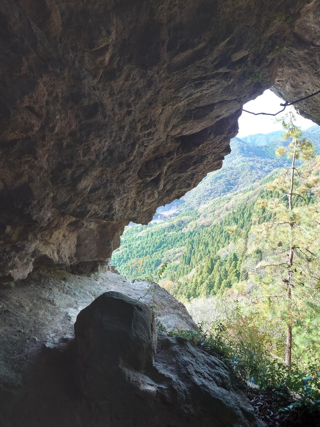 2023秋のびっくり周回コースとんがり山・峰相山・伊勢山・奥山 / yama-ikeさんの書写山・伊勢山・とんがり山の活動データ | YAMAP / ヤマップ