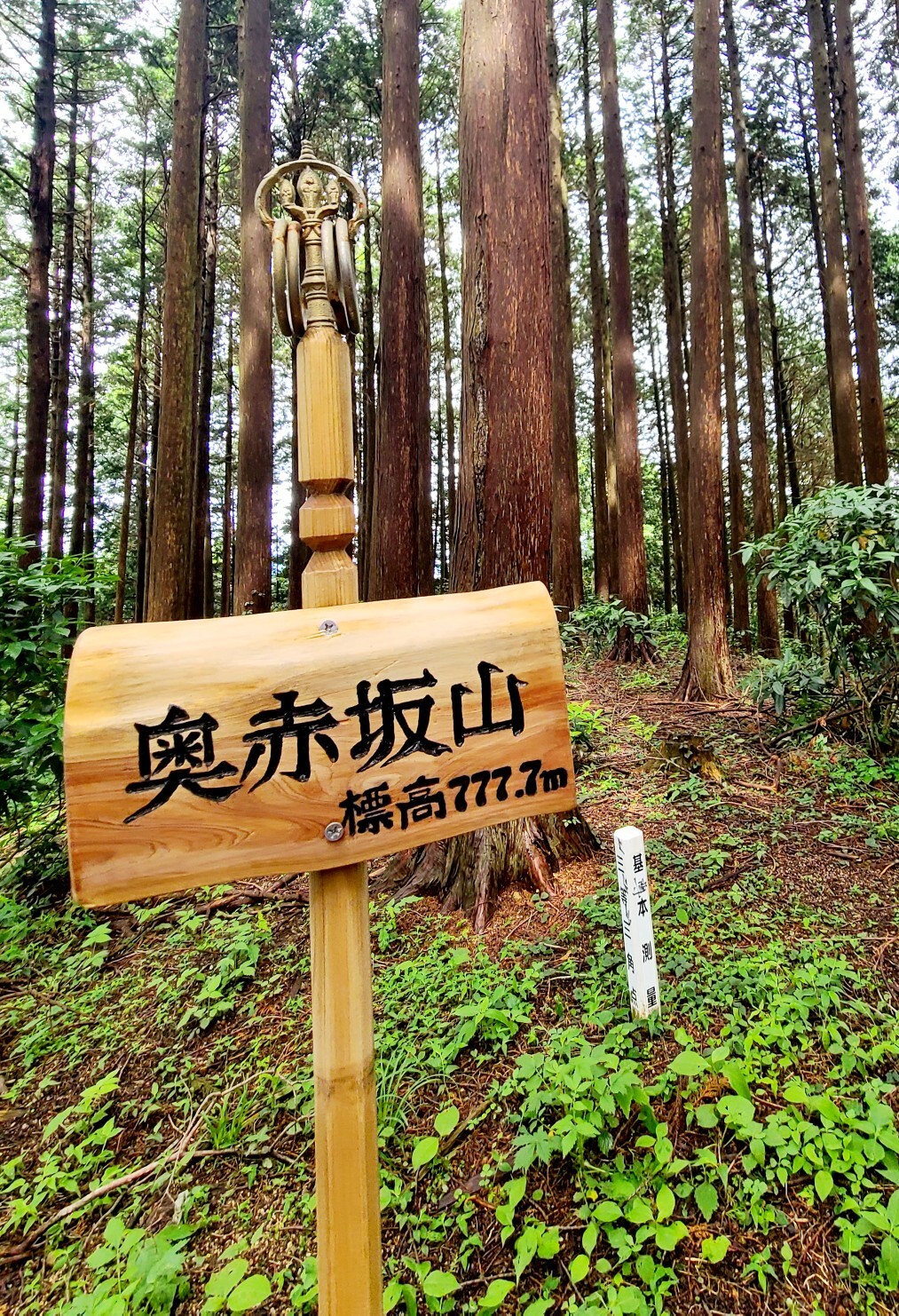 奥赤坂山 777.7m👏 / あけみんさんの金剛山・二上山・大和葛城山の活動データ | YAMAP / ヤマップ