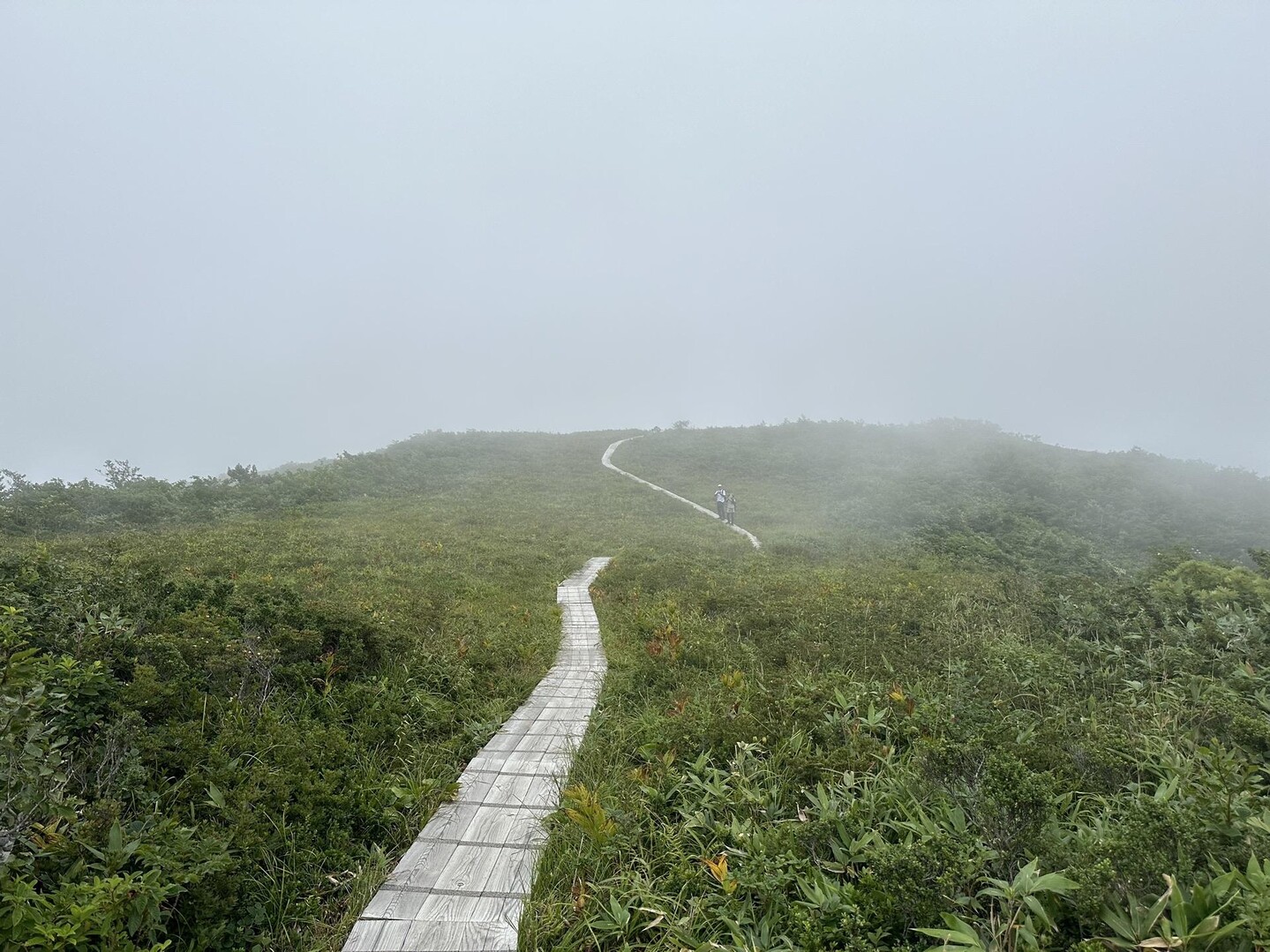 白木峰・北白木峰 / SM-peaksさんの白木峰・小白木峰の活動日記 | YAMAP / ヤマップ
