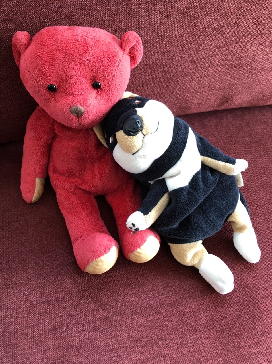 Fujiのページ | YAMAP / ヤマップ