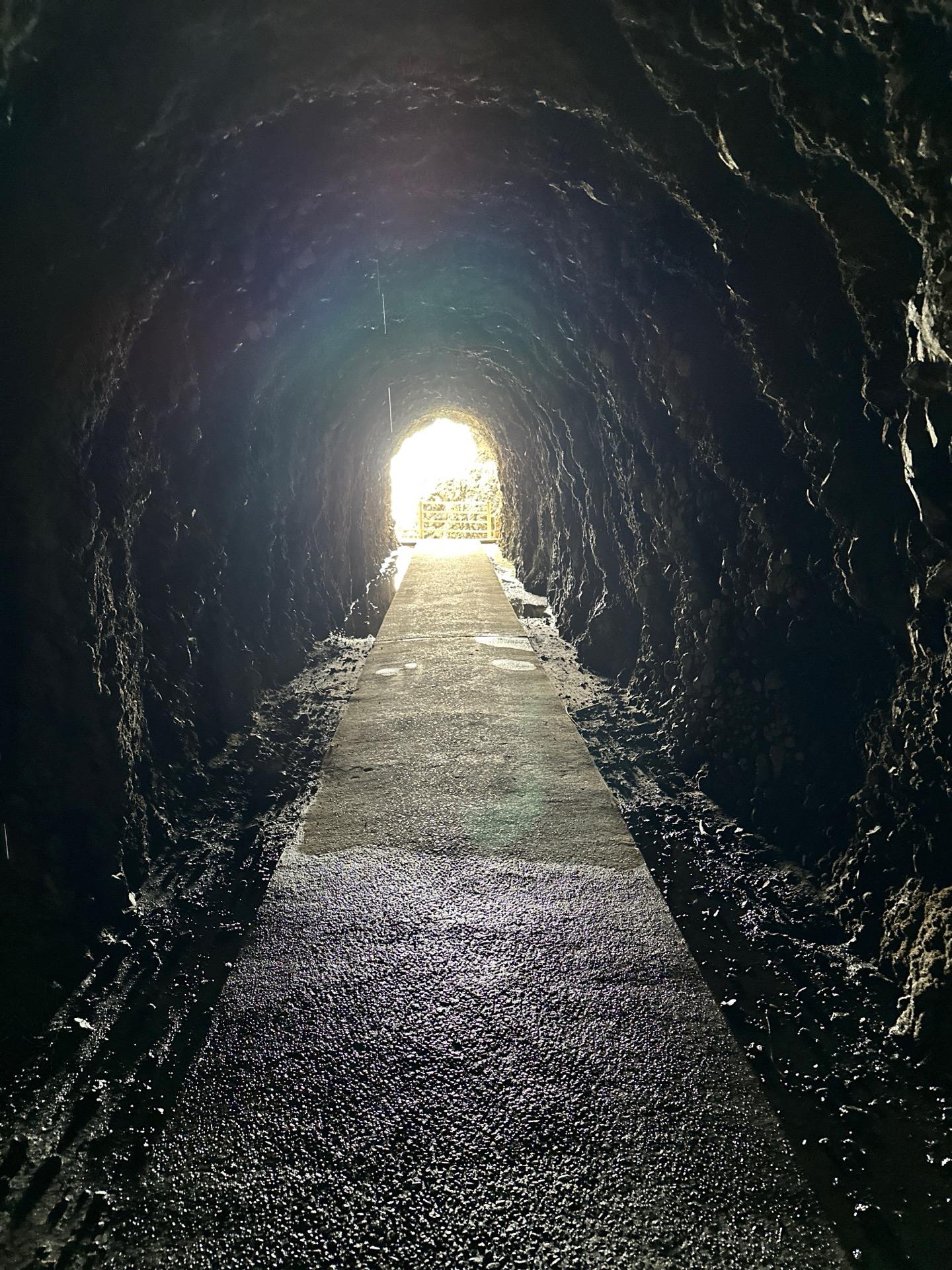 角田山（長者原山） / moda -suさんの角田山の活動データ | YAMAP / ヤマップ