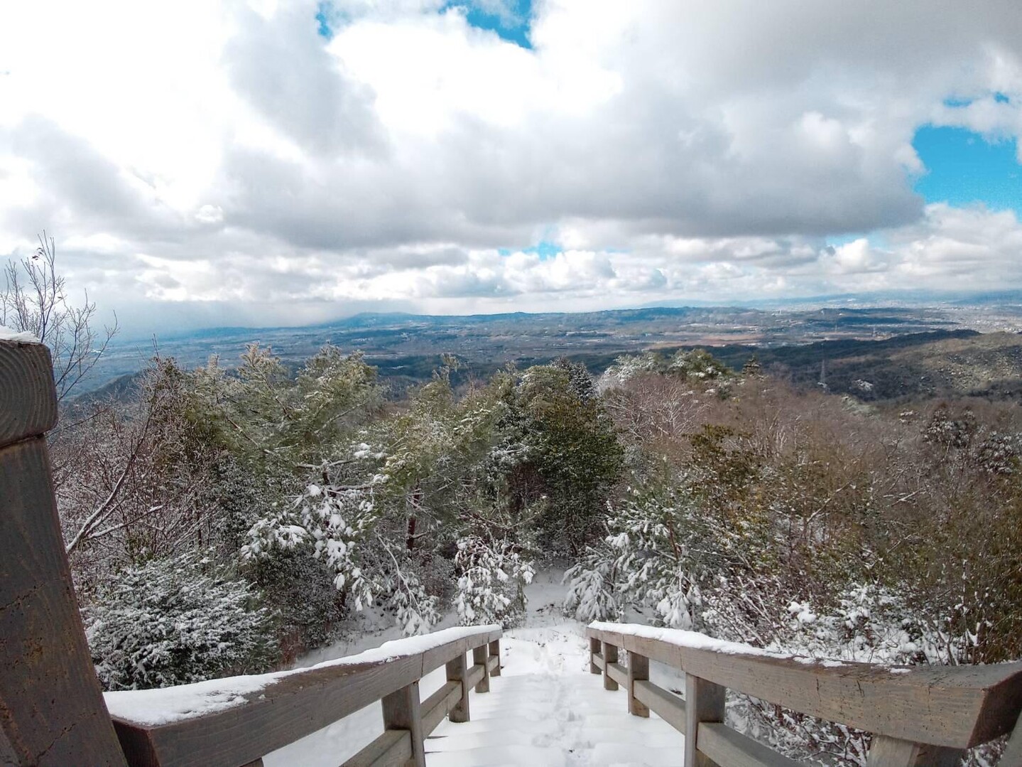 三上山 / naga-chanさんの三上山・大焼山の活動データ | YAMAP / ヤマップ