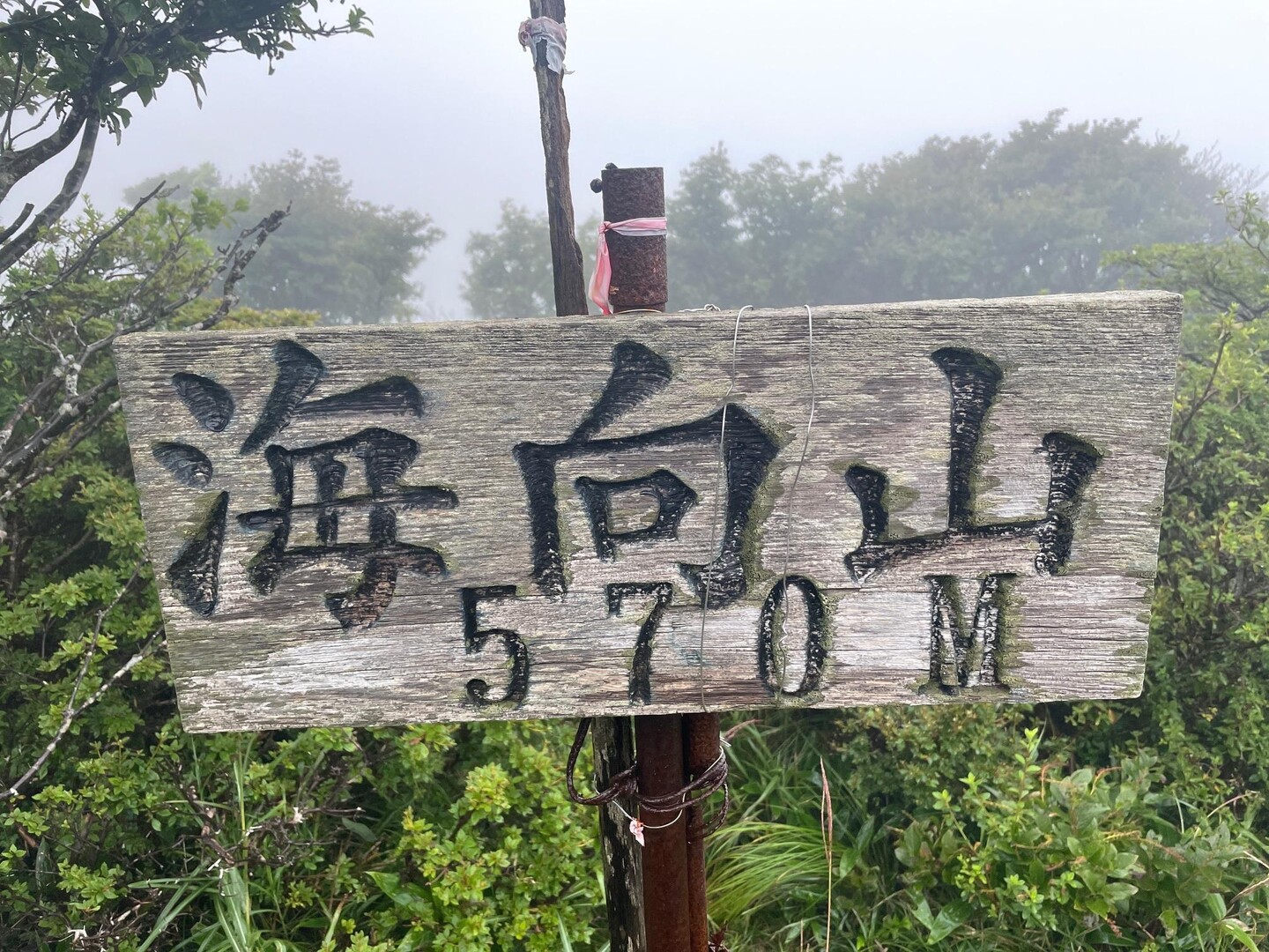 弾丸！海向山(恵山) / 島ちゃん(島.RC)🌈さんの恵山・海向山の活動データ | YAMAP / ヤマップ