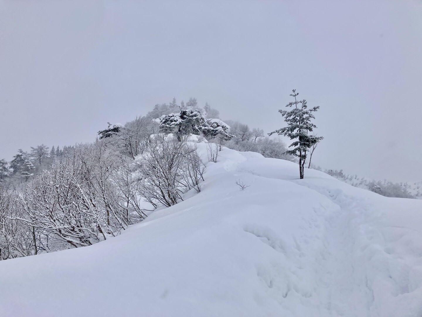 坂戸山2 / karashiさんの坂戸山の活動データ | YAMAP / ヤマップ