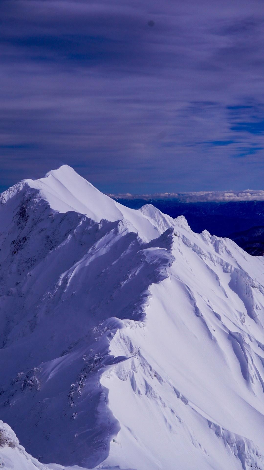 大山でMerryXmas🎄 2024年 vol.43 / シンさんの大山・甲ヶ山・野田ヶ山の活動データ | YAMAP / ヤマップ