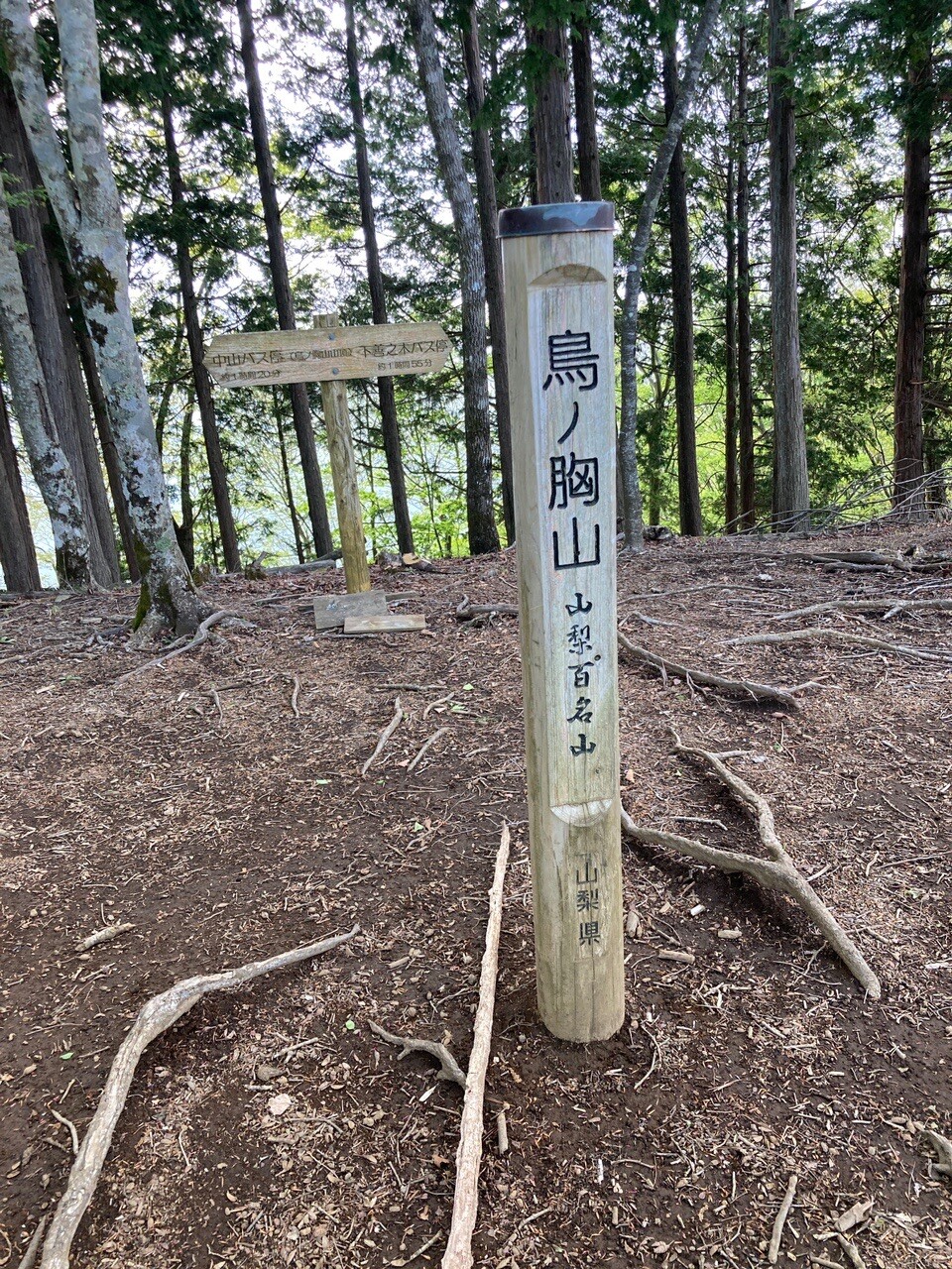 鳥ノ胸山 / explorerさんの大室山・畦ヶ丸山・菰釣山の活動日記 | YAMAP / ヤマップ