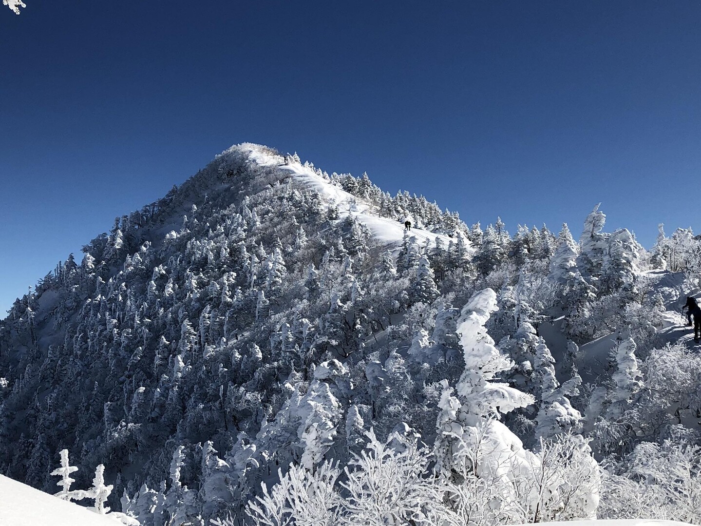 四阿山スノーハイク / dorry さんの四阿山・根子岳の活動データ | YAMAP / ヤマップ