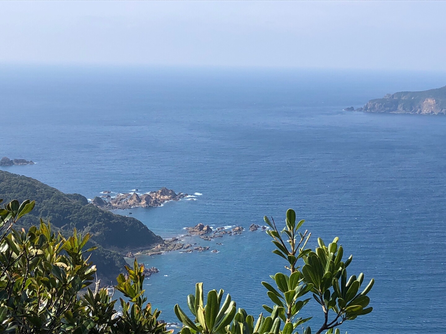 今岳・長者山から少し先へ🚶‍♀️ / chiitaさんの磯間嶽の活動データ | YAMAP / ヤマップ