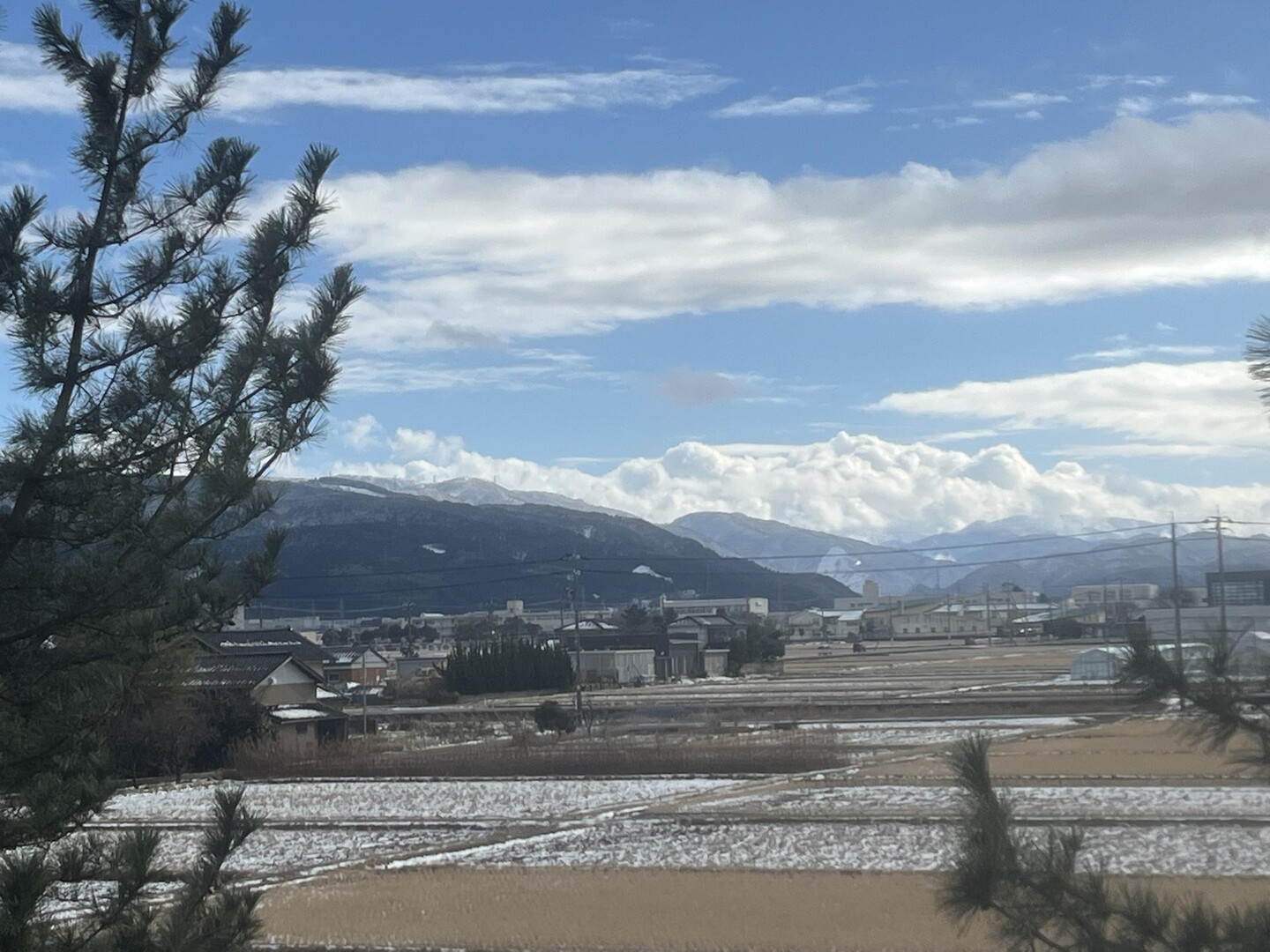 椿山 / shinさんの奥獅子吼山・口三方岳・烏帽子山の活動データ | YAMAP / ヤマップ