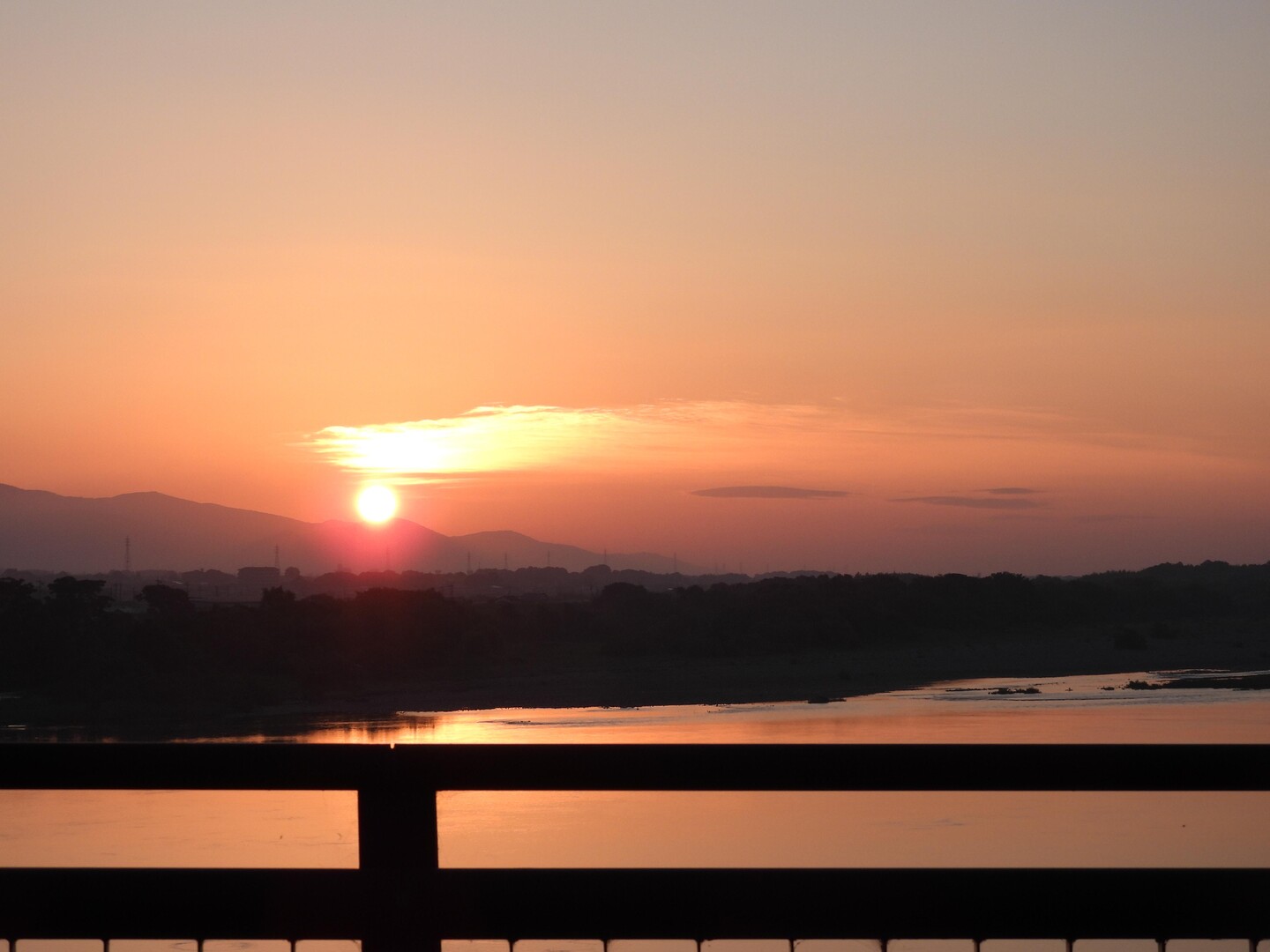 no中野家nolife / ねこバスさんの剣山の活動データ | YAMAP / ヤマップ