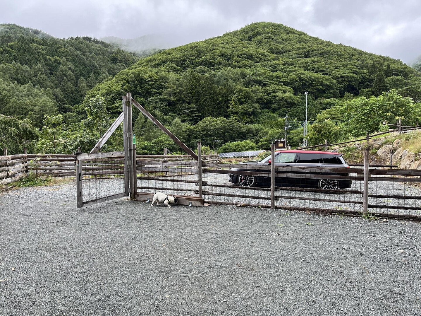 雨☂️のキャンプ🏕️ 涼しく😏静か ... / F54JCWさんのモーメント | YAMAP / ヤマップ