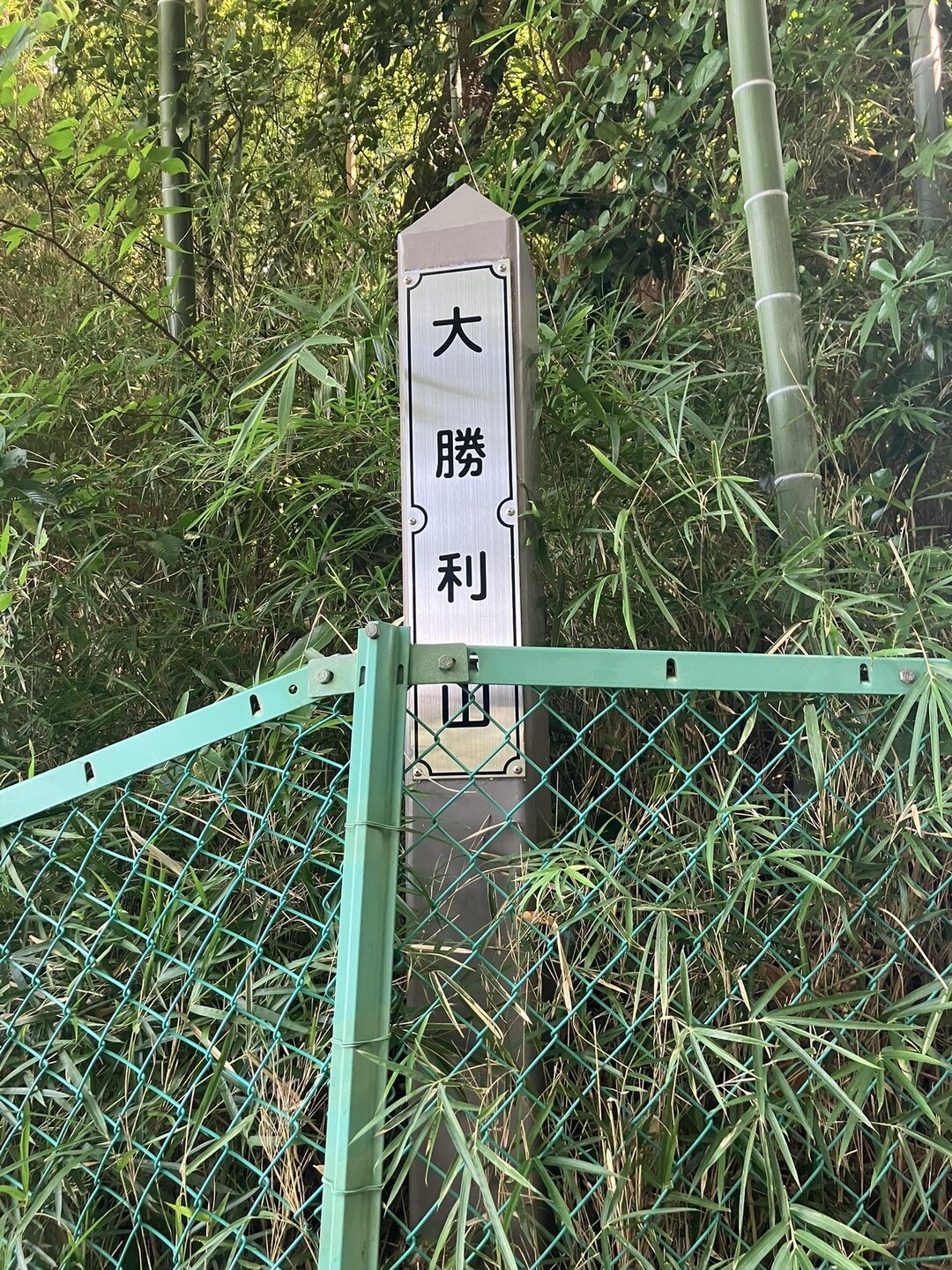 夏詣 大勝利山・緒明山・瀬戸神社 / tmhさんのMIURA BIKE&HIKE ADVENTUREの活動データ | YAMAP / ヤマップ