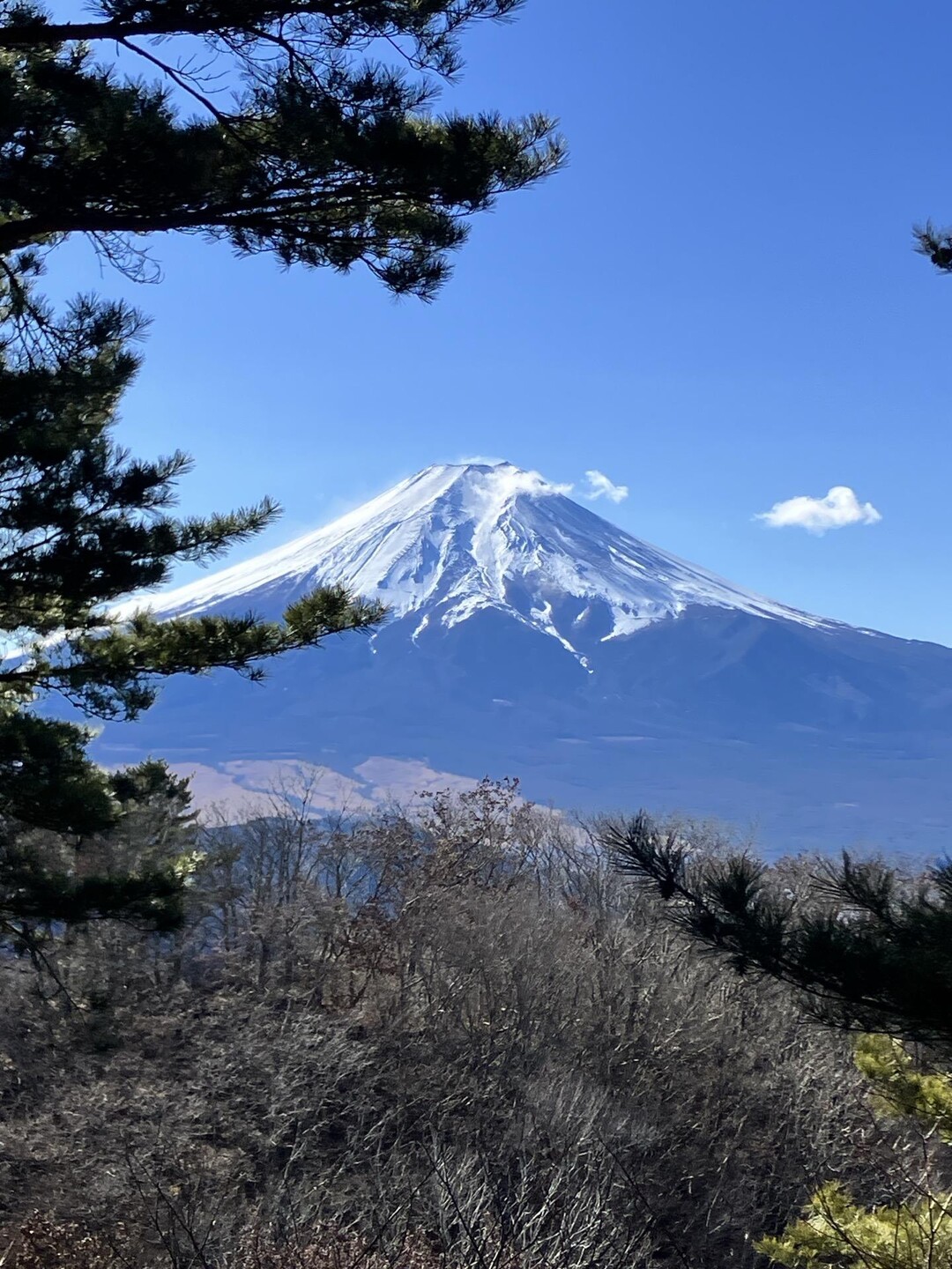 倉見山 / TAKIBIさんの御正体山・杓子山・石割山の活動データ | YAMAP / ヤマップ