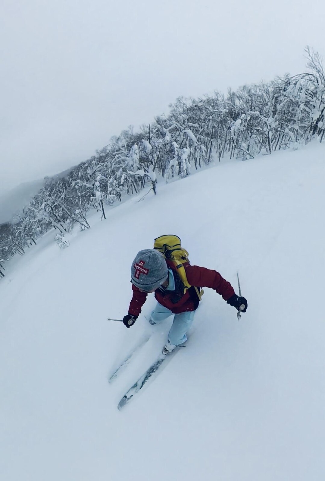 稲庭岳BC / Re:ゼロから始まる山生活さんの稲庭岳の活動日記 | YAMAP / ヤマップ