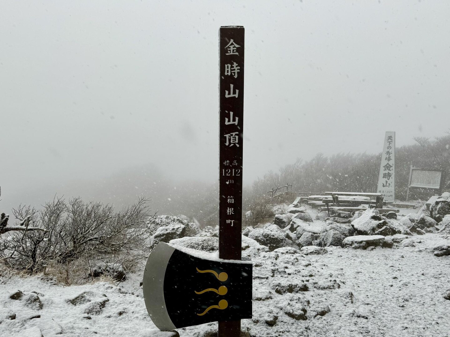 金時山 / Aya_oguさんの金時山・明神ヶ岳の活動データ | YAMAP / ヤマップ