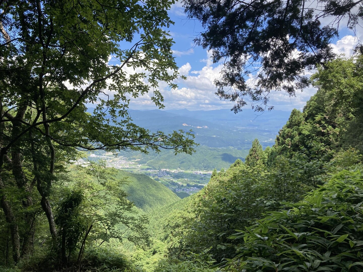 山は涼しい〜金剛山 / bu-koさんの金剛山・二上山・大和葛城山の活動データ | YAMAP / ヤマップ