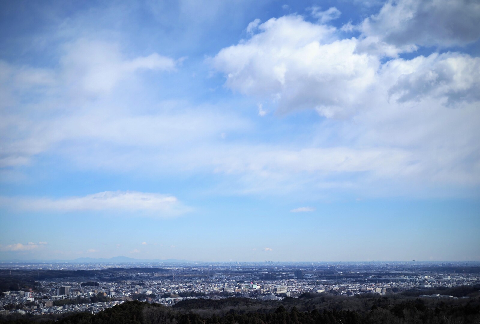 赤ぼっこ・要害山 / IKUさんの赤ぼっこの活動データ | YAMAP / ヤマップ