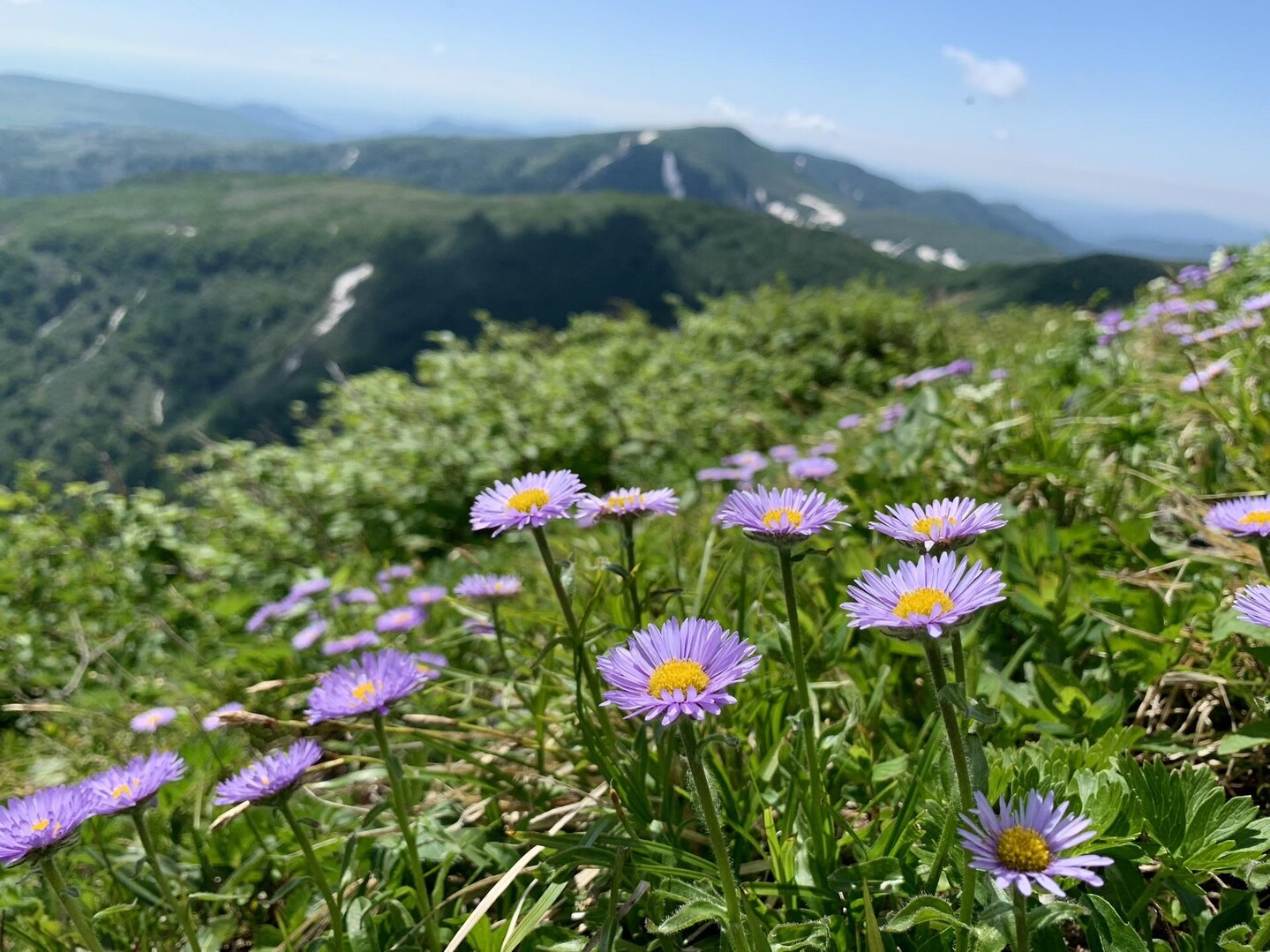 宝の山【暑寒別岳】箸別コースから / kan J.さんの暑寒別岳の活動日記 | YAMAP / ヤマップ