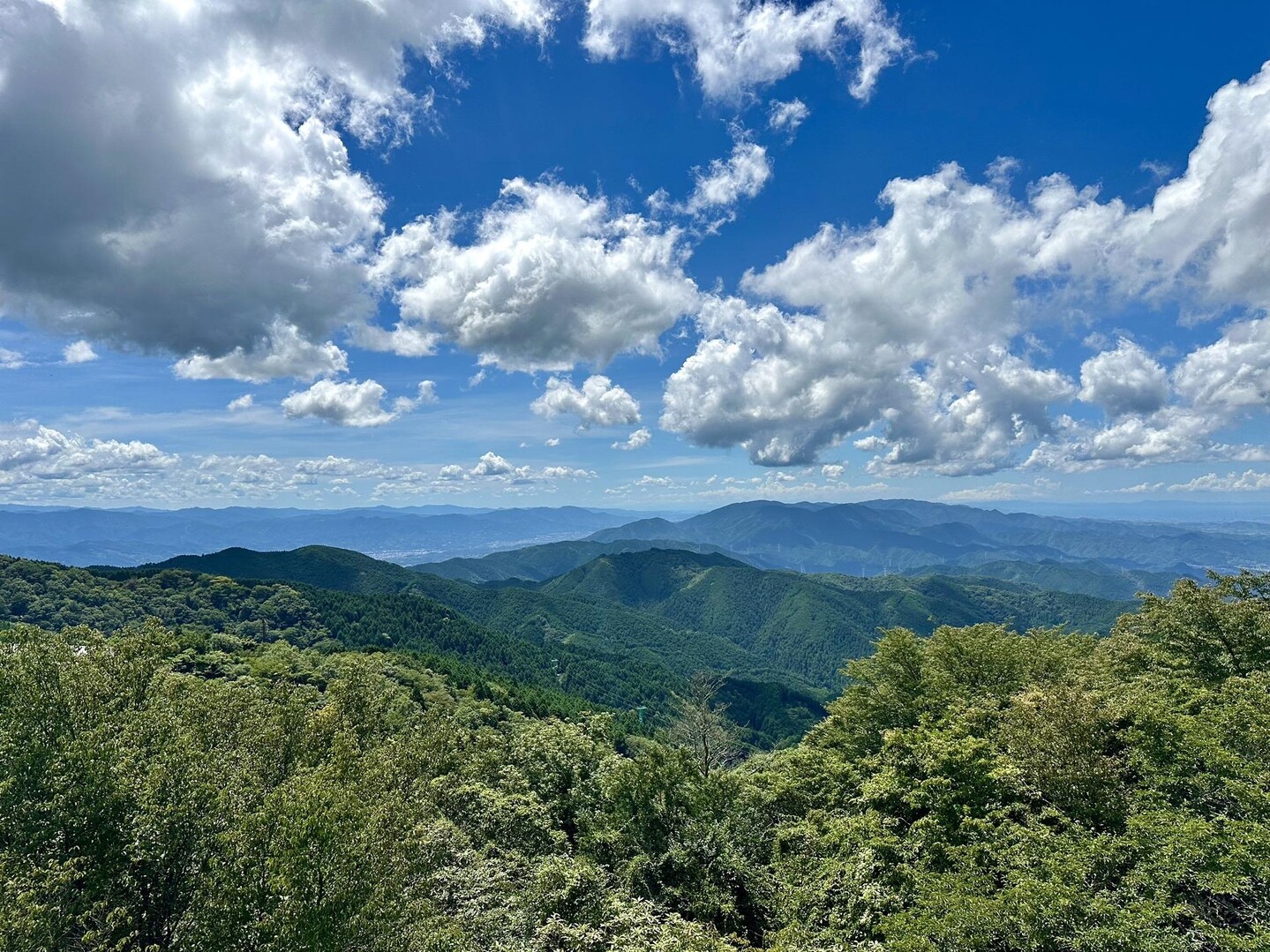 清冽の追慕【金剛山】 / 佐坊 芯太郎(Shintaro Sabo)さんの金剛山・二上山・大和葛城山の活動データ | YAMAP / ヤマップ