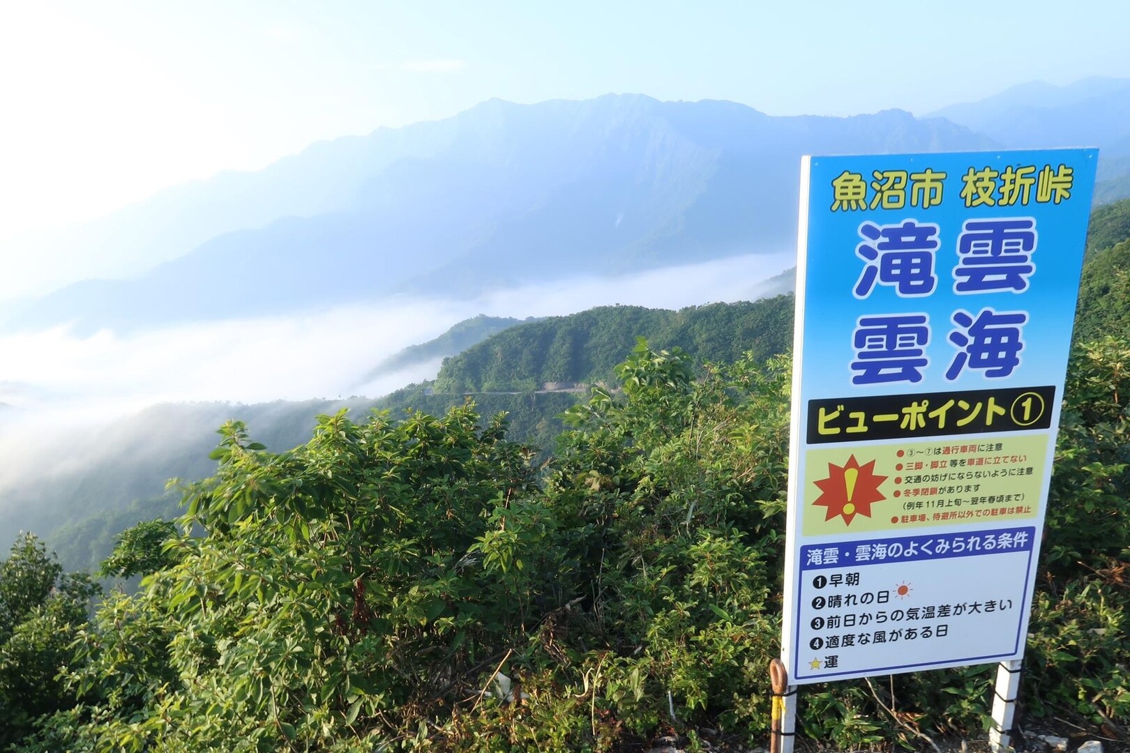 中途リタイア😢小倉山・越後駒ヶ岳 / eigoさんの越後駒ヶ岳・八海山・荒沢岳の活動データ | YAMAP / ヤマップ