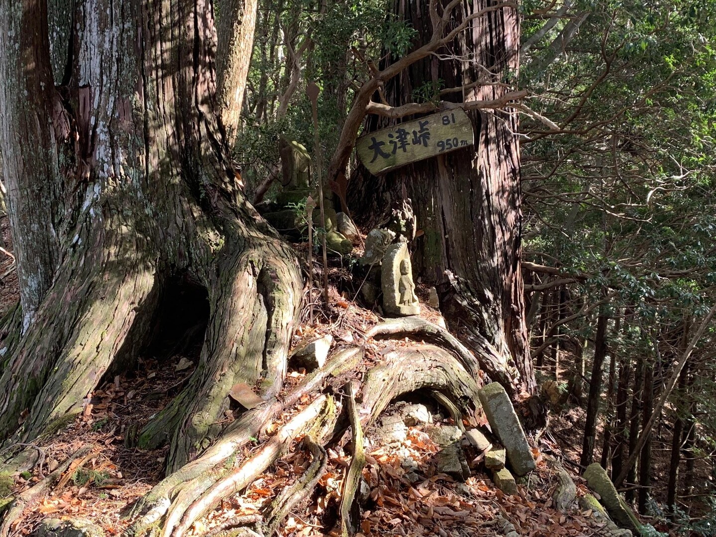 大津峠・他みさくぼ百山7座 / むらたよさんの日本ヶ塚山の活動データ | YAMAP / ヤマップ