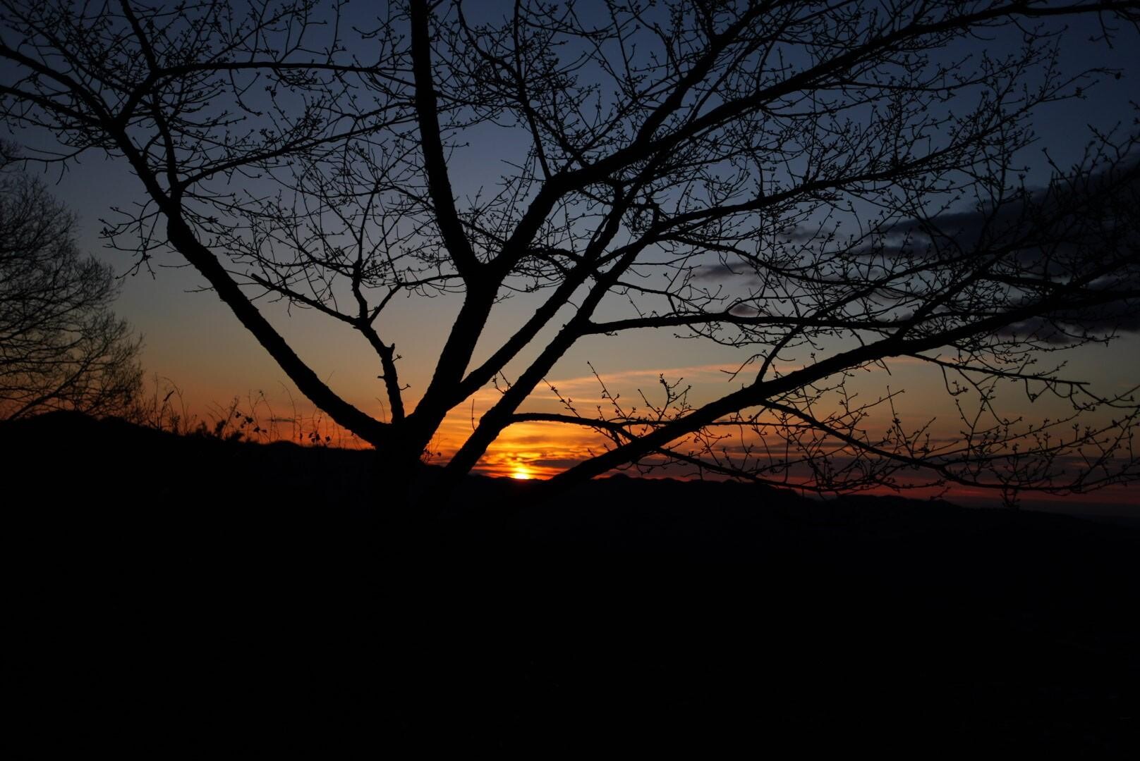 風の強めな夜明け アヅマ56 / ta2さんの鳴神山・吾妻山の活動データ | YAMAP / ヤマップ