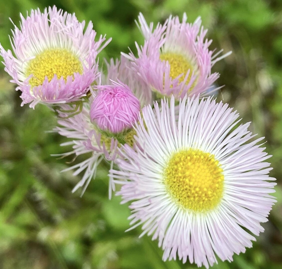 izumiのページ | YAMAP / ヤマップ