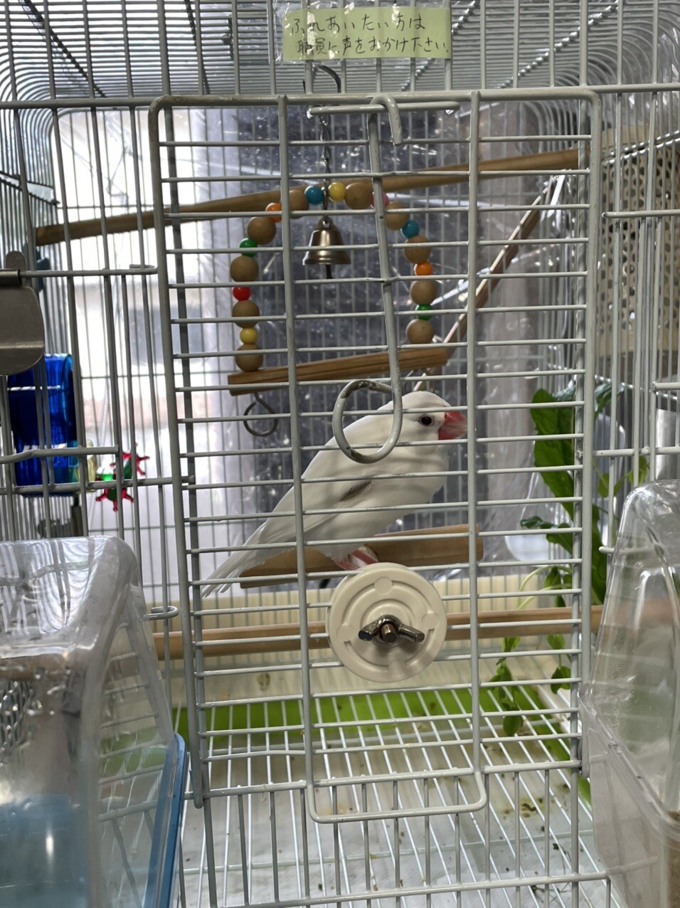 JR東海主催のさわやかウォーキングに参加... / ちわわんさんのモーメント | YAMAP / ヤマップ