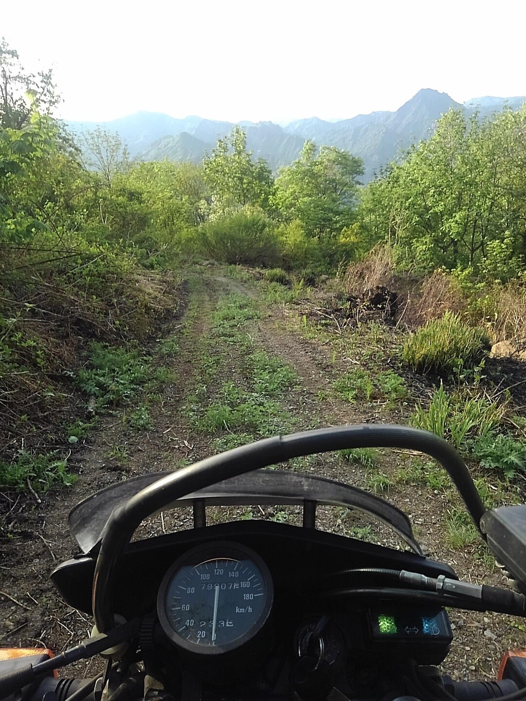 国道のどこかでリム打ち食らって､気付かな... / gk-cnさんのモーメント | YAMAP / ヤマップ