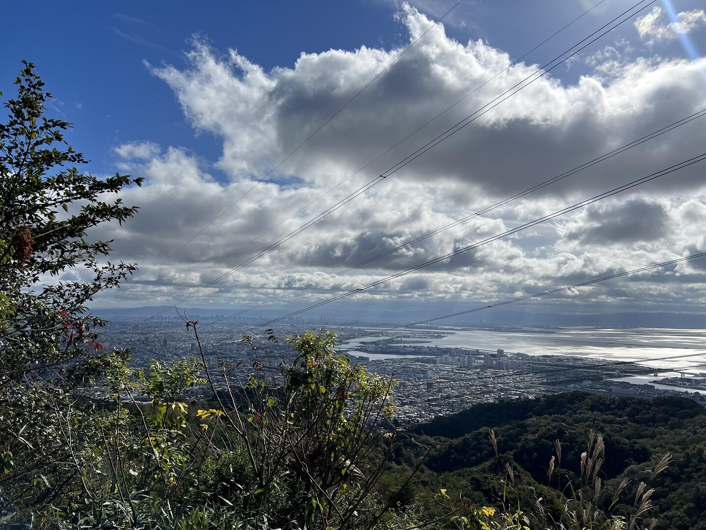 地獄谷〜金鳥山 / yumiさんのウォーキングの活動データ | YAMAP / ヤマップ
