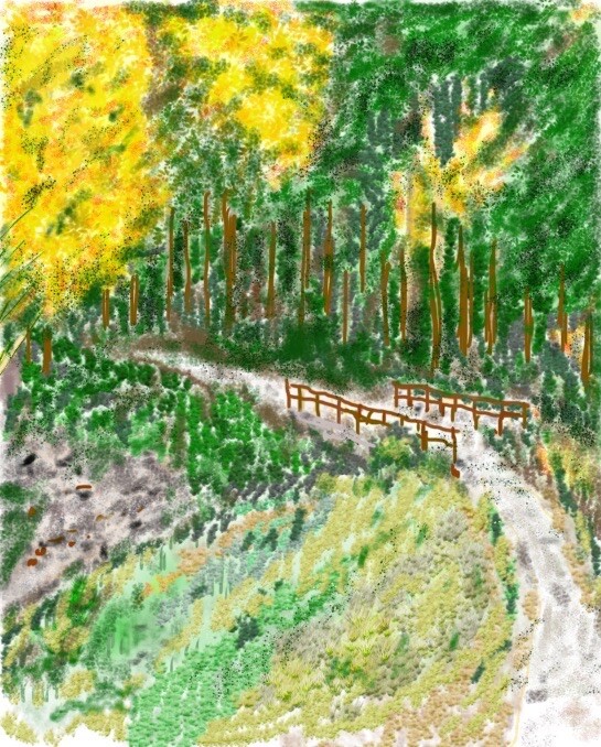 近くで見るとグチャグチャ😅 離れて見る... / clearkkさんのモーメント | YAMAP / ヤマップ