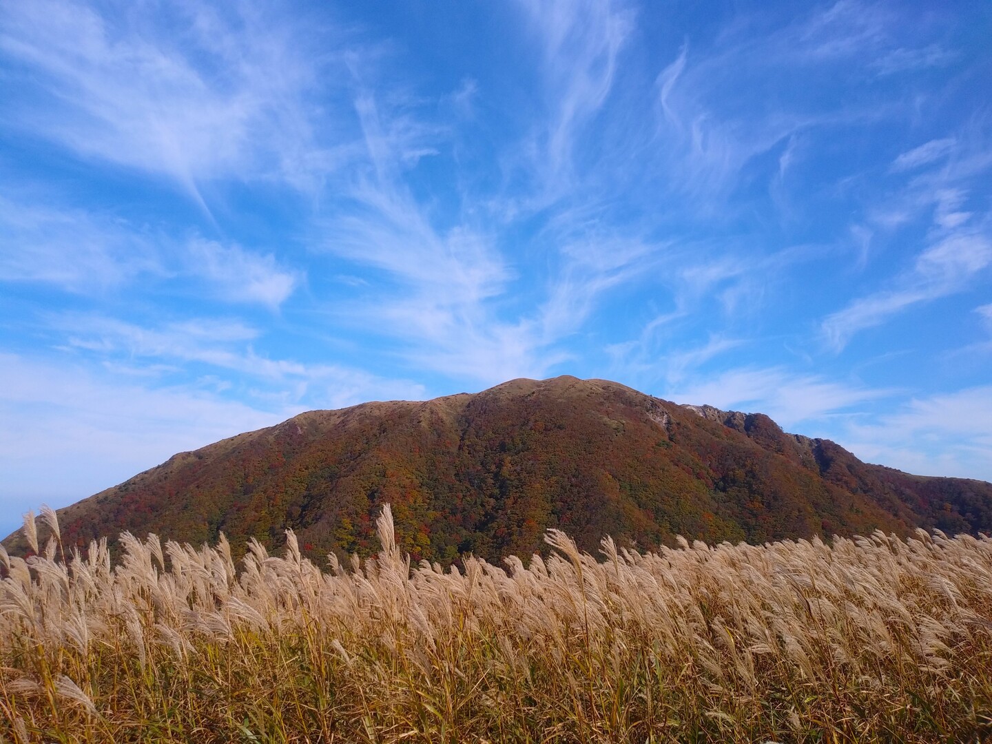 名峰三瓶山！ お鉢巡り / 968さんの三瓶山・大平山の活動データ | YAMAP / ヤマップ