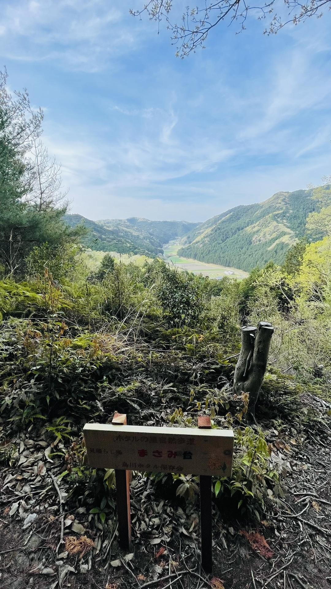 鳥川アルプス(残り半分完走) / yanaponさんの額堂山・水晶山・京ヶ峯の活動データ | YAMAP / ヤマップ