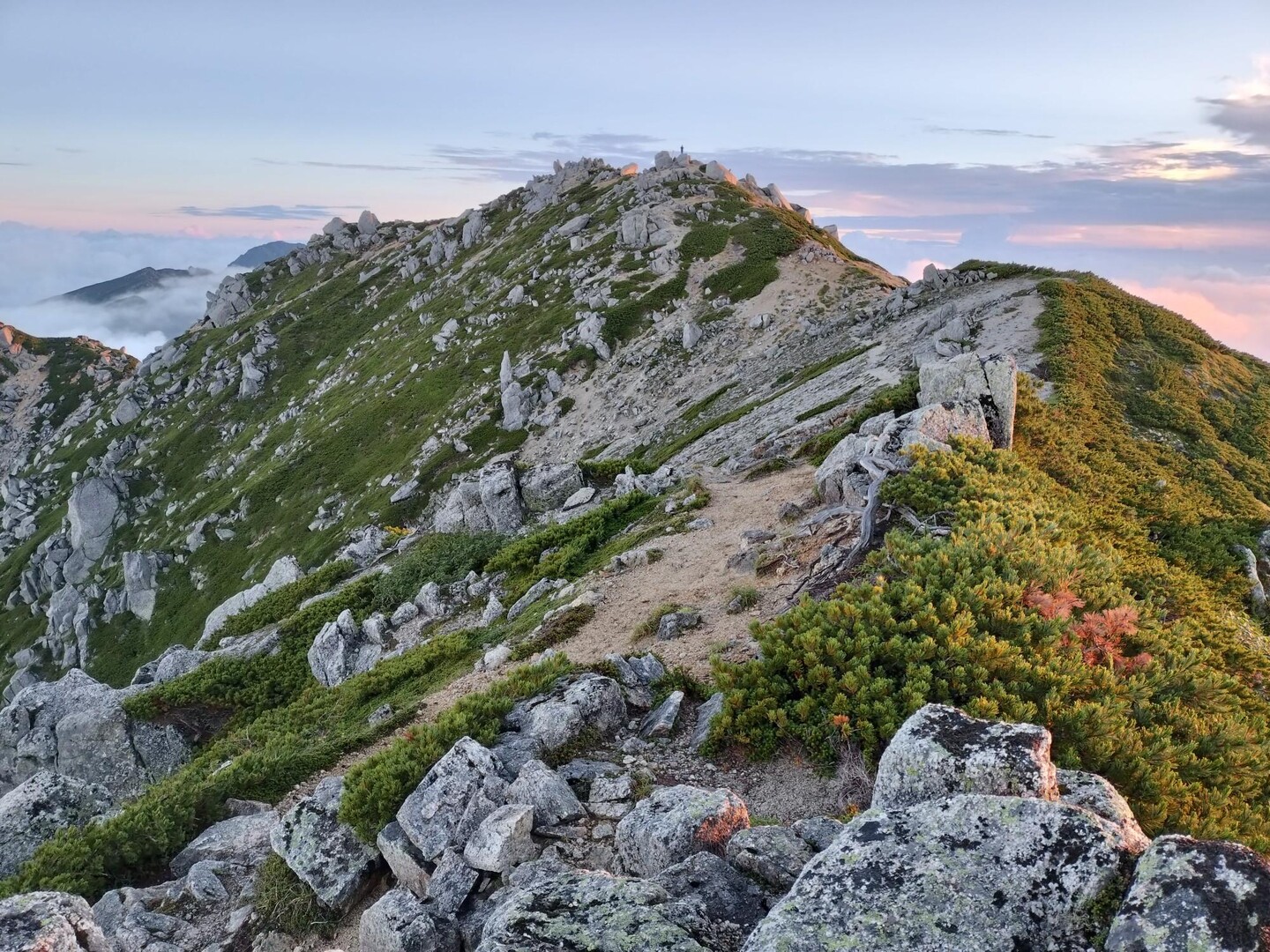 空木岳、古城公園よりピストン。TJARの選手、頑張って下さい / nakapiさんの木曽駒ヶ岳・空木岳・越百山の活動データ | YAMAP / ヤマップ