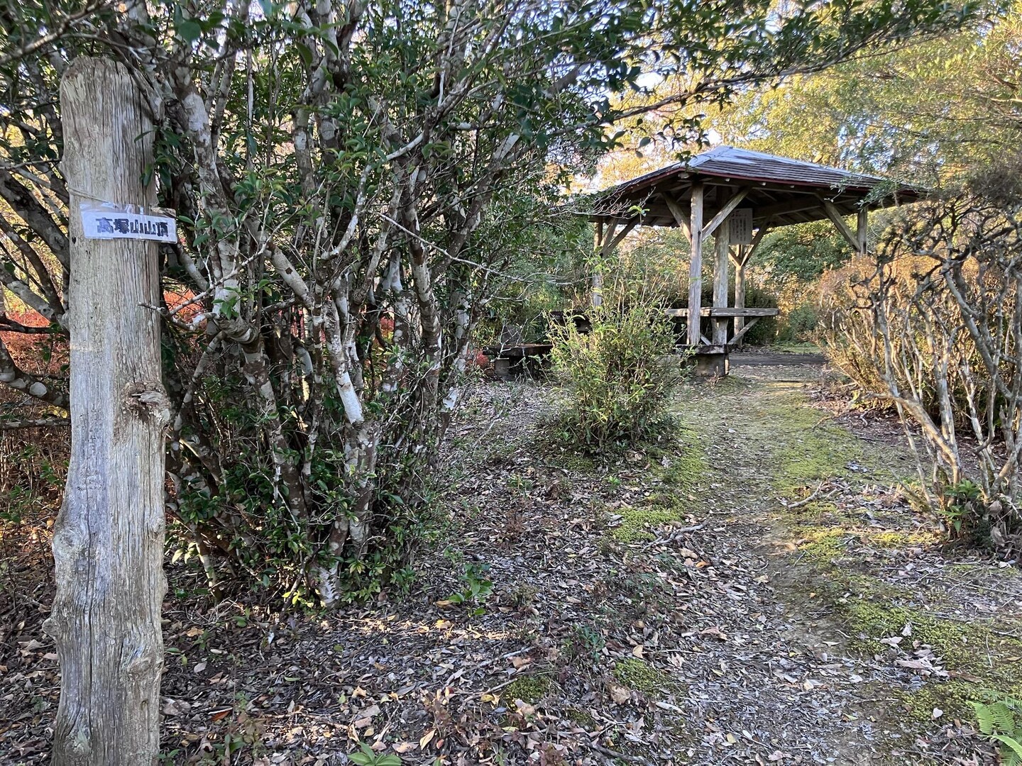 宮崎PH 高塚山（たかつこやま）⛰️ / 楽かずくんさんの高塚山の活動日記 | YAMAP / ヤマップ