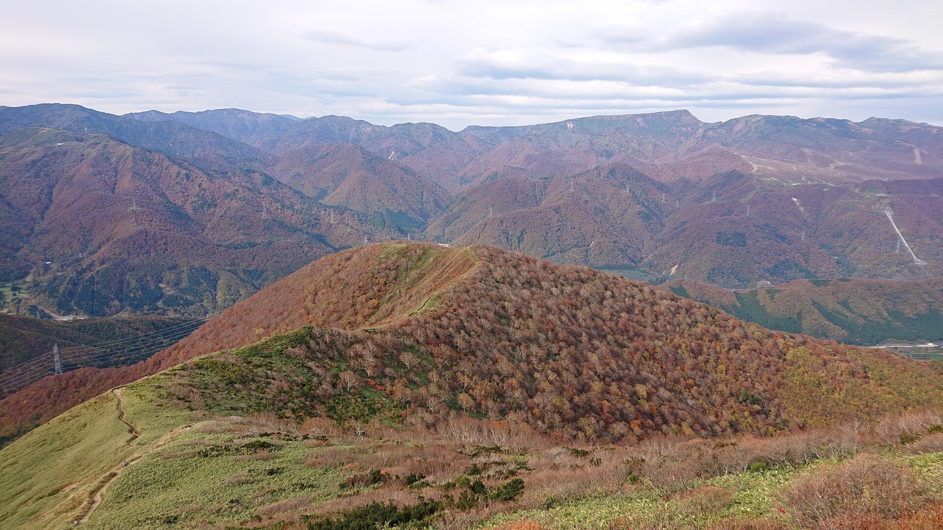 松手山・平標山 / tmykさんの仙ノ倉山・平標山・大源太山の活動データ | YAMAP / ヤマップ