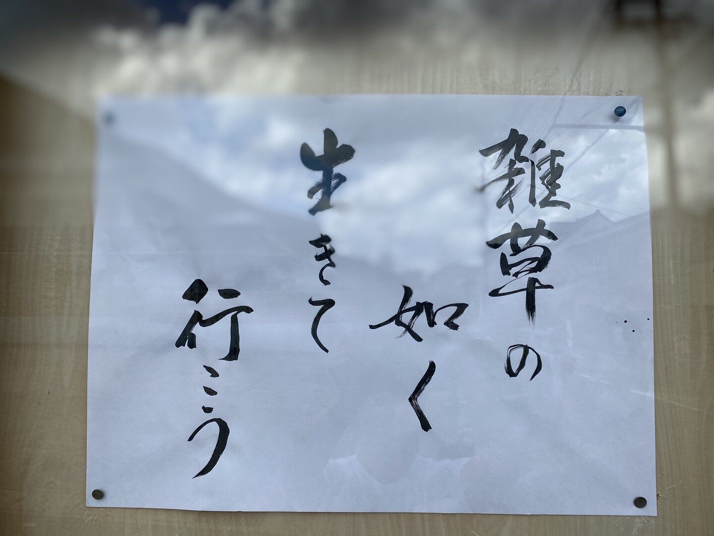 ウォーキングIII / 鹿さんの和賀岳・薬師岳・高下岳の活動データ | YAMAP / ヤマップ