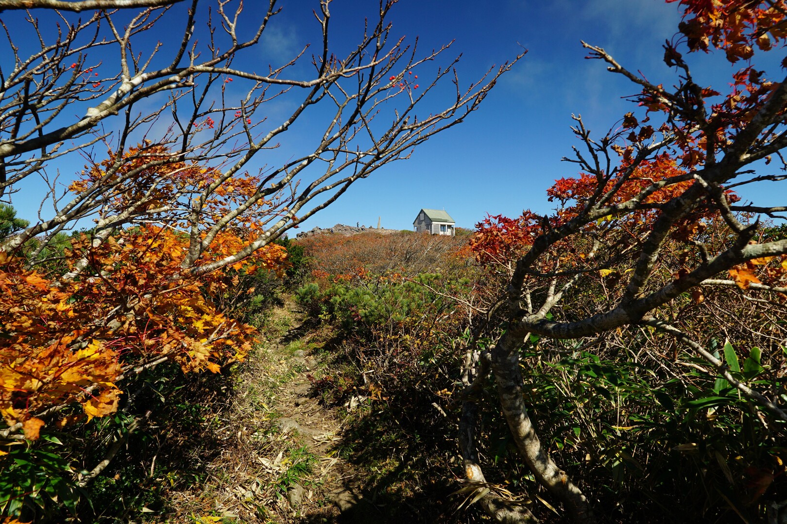 船形山 紅葉は見頃 / mss53さんの船形山（御所山）・泉ヶ岳・蛇ヶ岳の活動データ | YAMAP / ヤマップ
