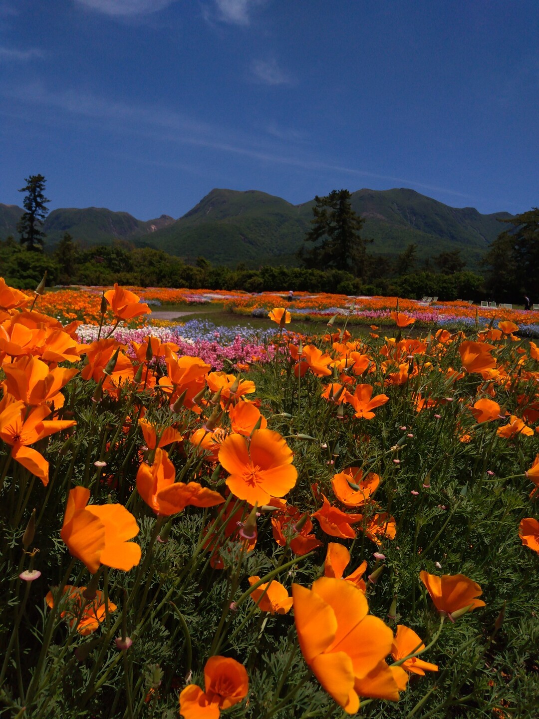 tottiのページ | YAMAP / ヤマップ