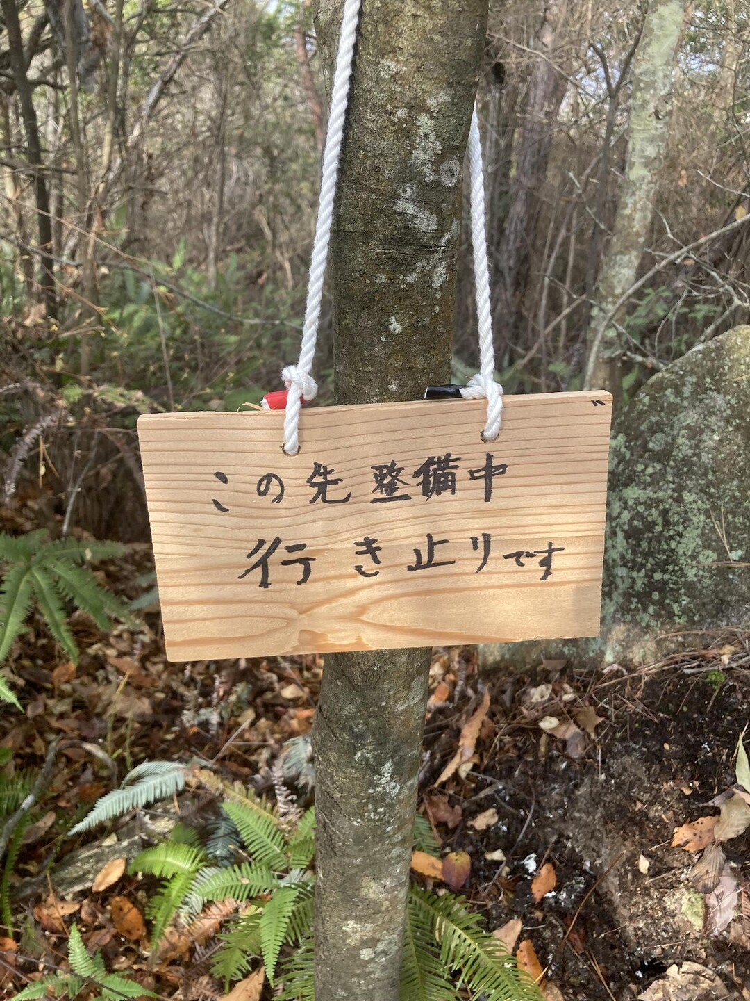 かんパパさんのお手伝いで向山24.77 / カブさん(CUB主)さんの岩幕山の活動データ | YAMAP / ヤマップ