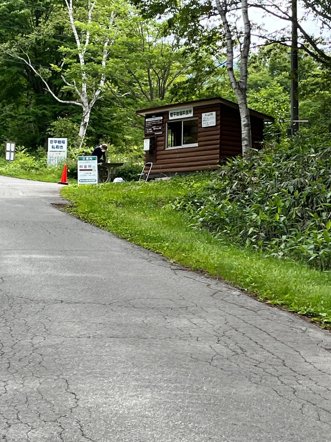 mskふぅさんの投稿したフィールドメモ | YAMAP / ヤマップ