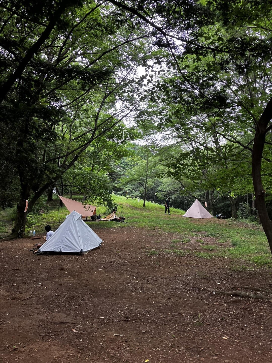 この7月の連休は山行きかキャンプか迷った... / 8Man.GTさんのモーメント | YAMAP / ヤマップ