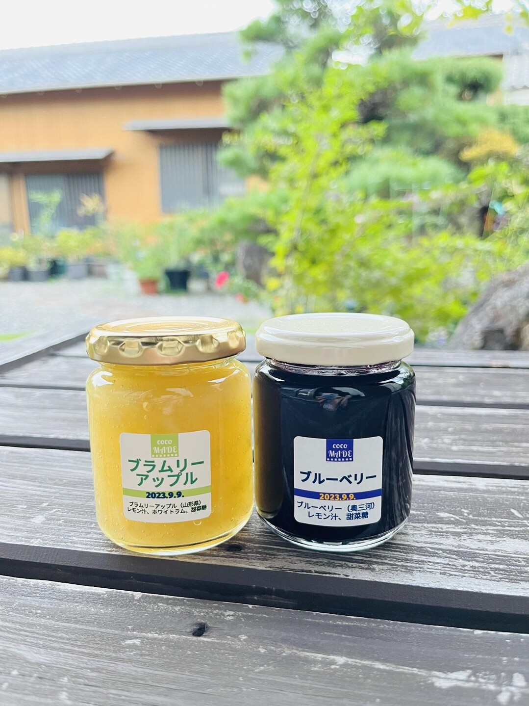 三連休 ゴロゴロしているわけでは無いので... / cocoさんのモーメント | YAMAP / ヤマップ