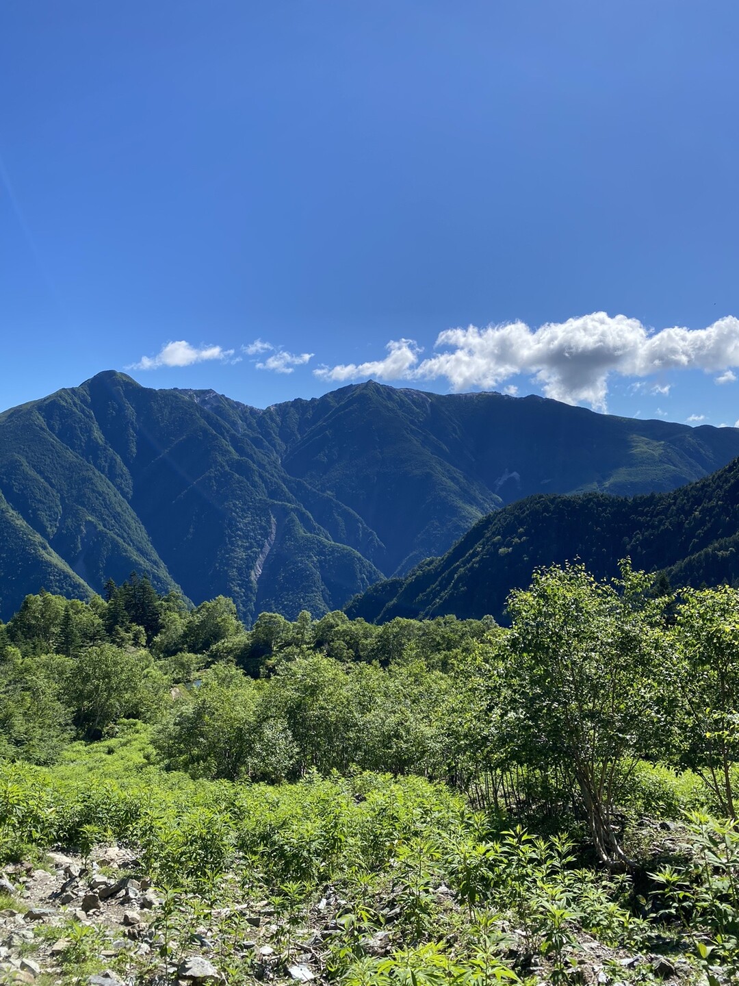 2022.07.23(土) 12:33 / miuさんのモーメント | YAMAP / ヤマップ